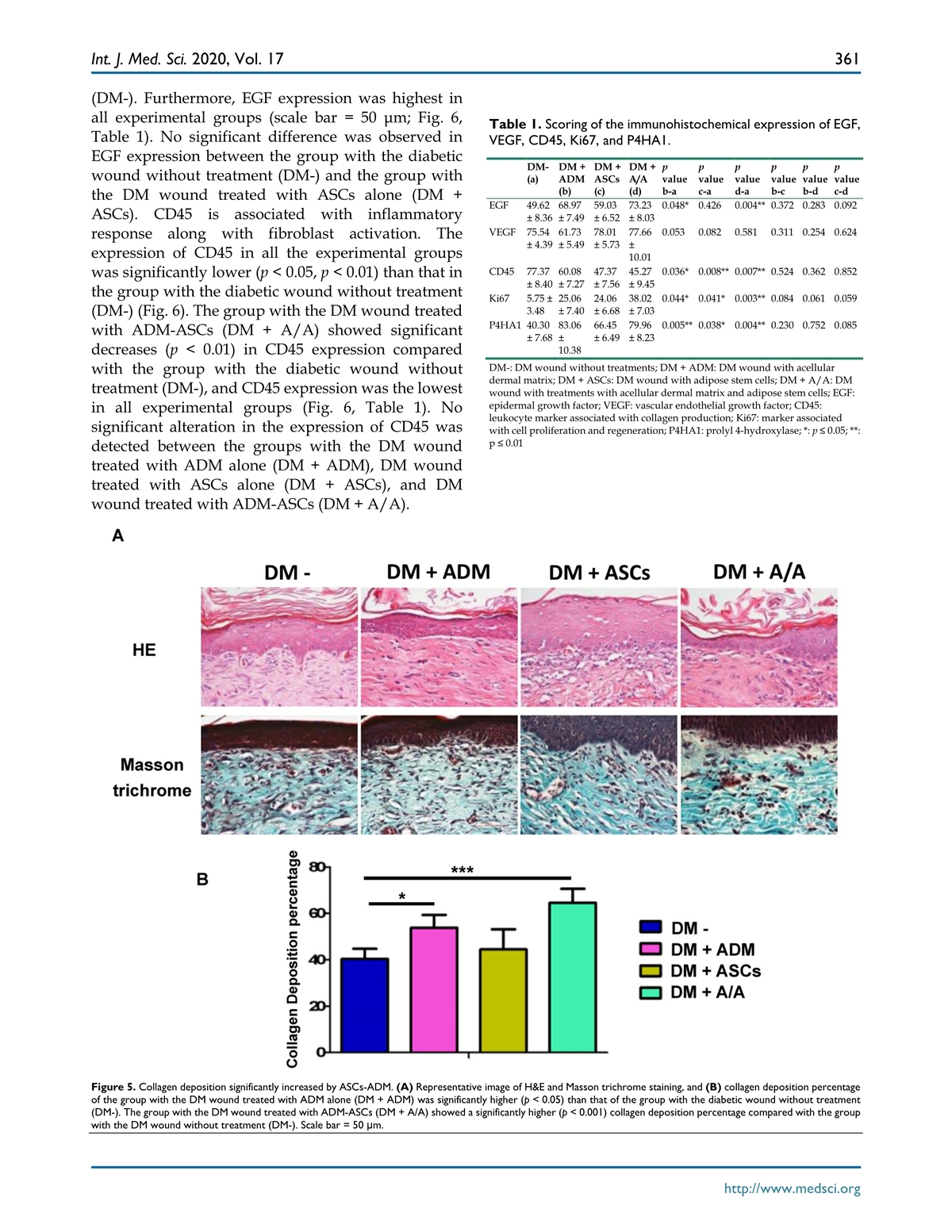 Supercritical Carbon Dioxide - decellularized Porcine Acellular Dermal Matrix combined with ...